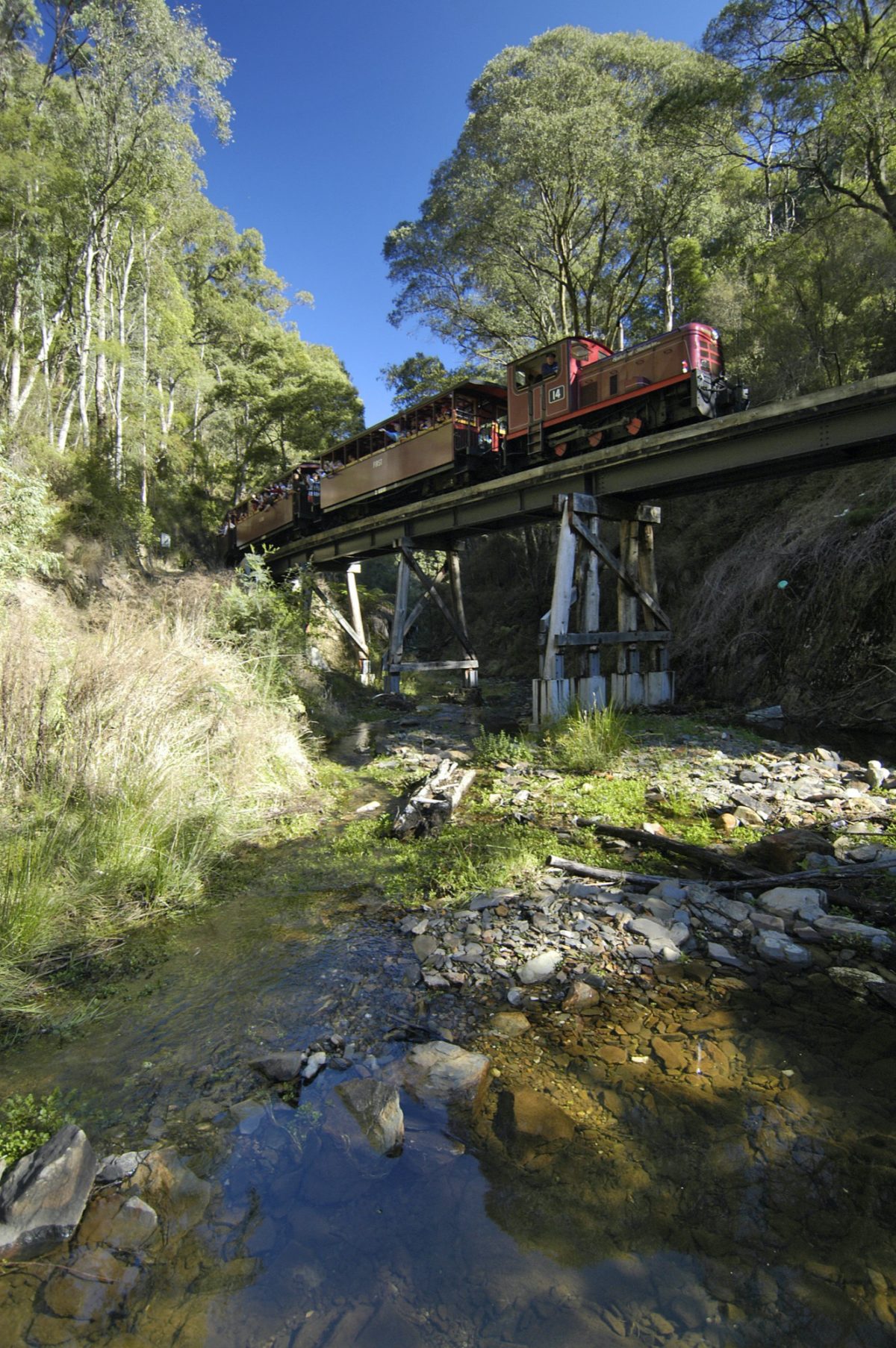Fairytale Setting - Silvertop Cottages - Book Now - 0414 537 267