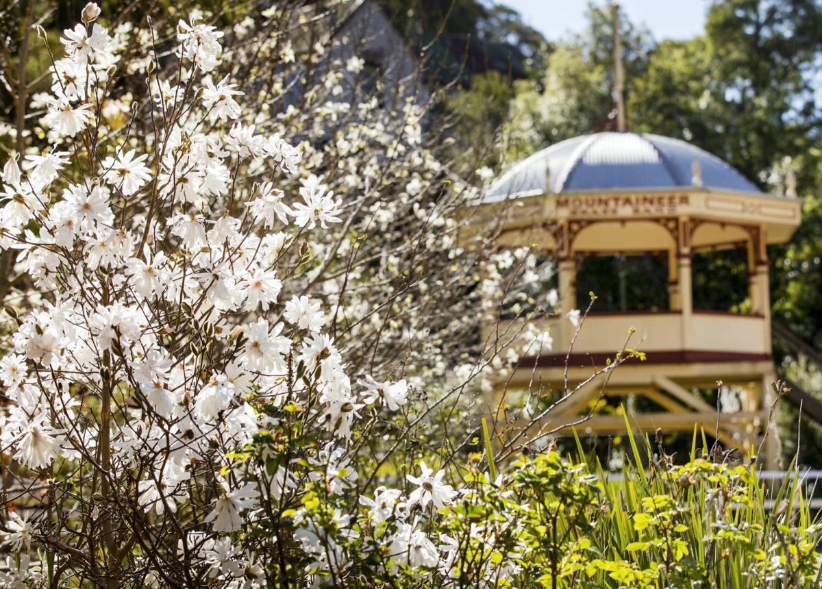 Welcome to Silvertop Cottages - Book Now - 0414 537 267