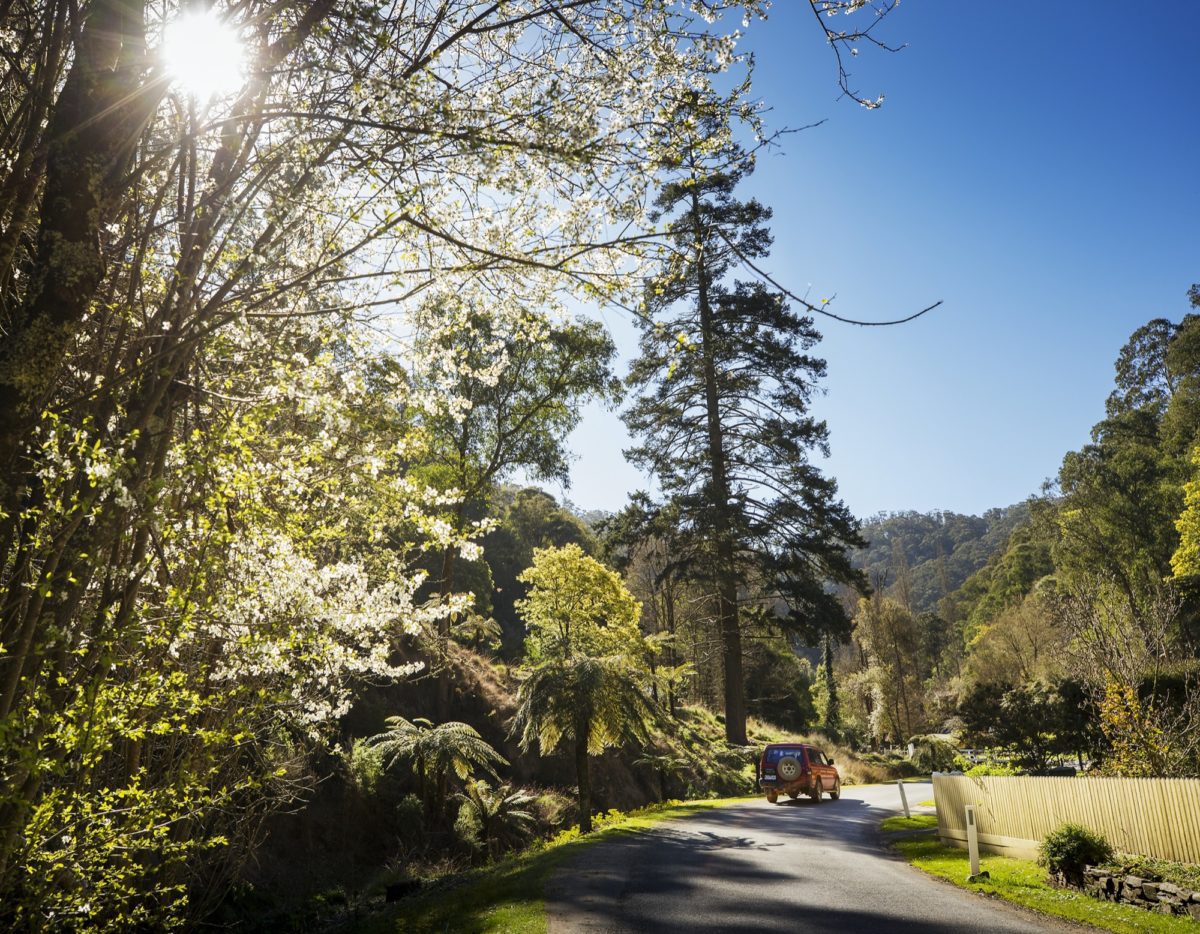 Welcome to Silvertop Cottages - Book Now - 0414 537 267